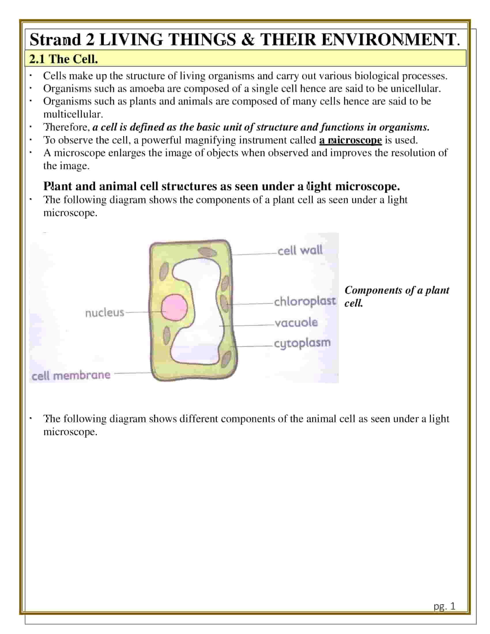 Grade 8 Rationalized Integrated Science Lesson Notes Term 2 Elimplex