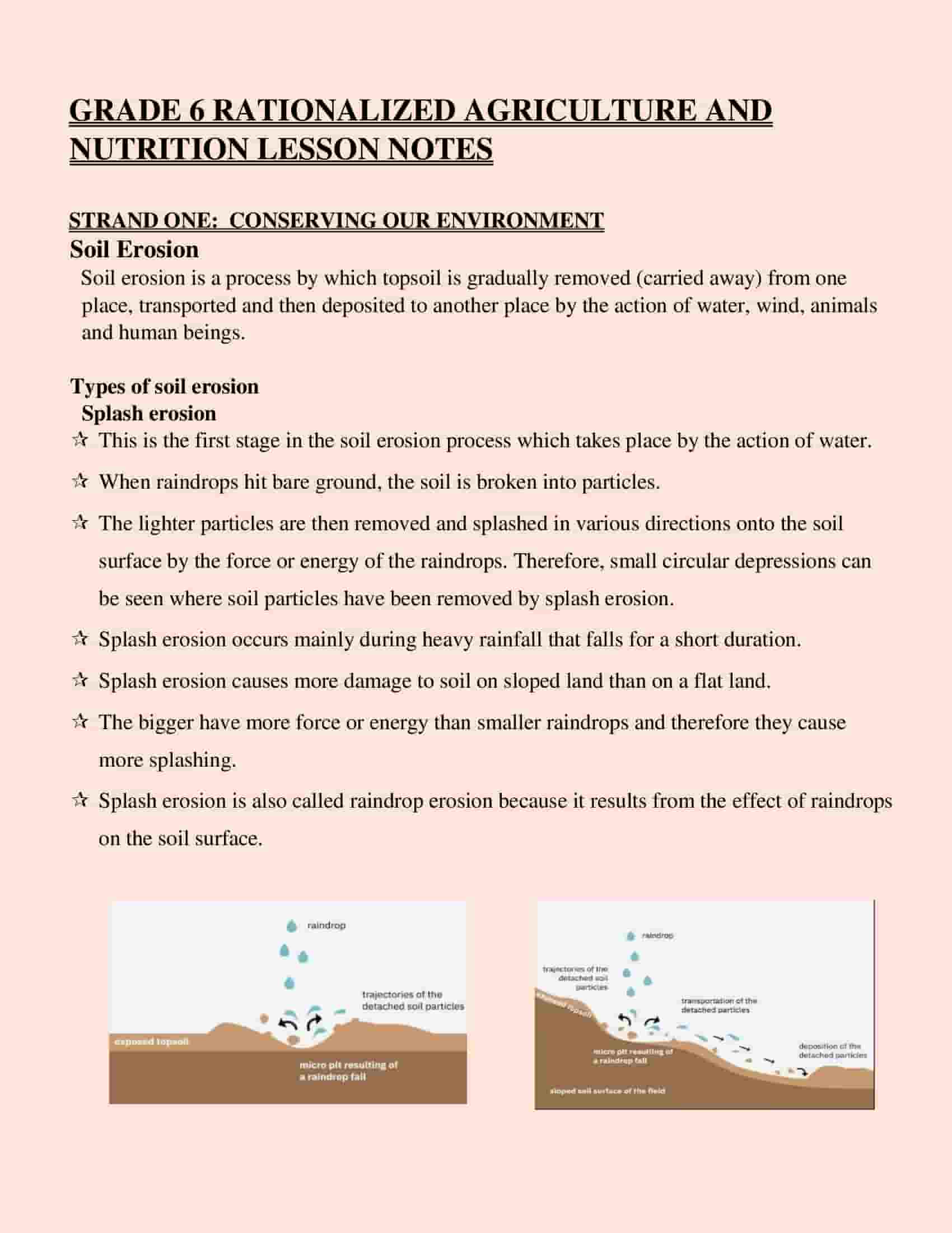Grade 6 Rationalized Agriculture and Nutrition Lesson Notes for Term 1 ...