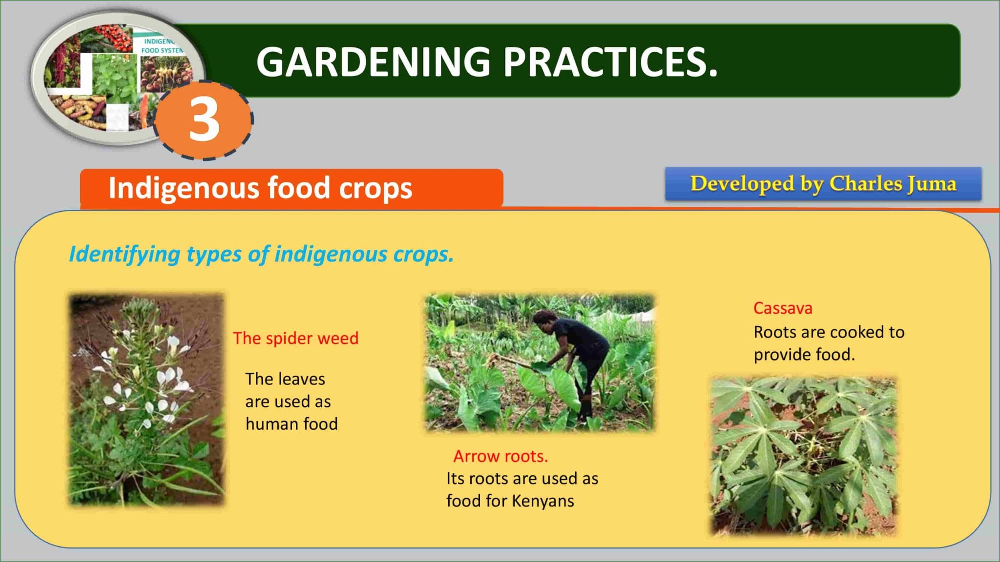 Grade 5 Agriculture Indigenous Food Crops Power Point Notes - Elimplex