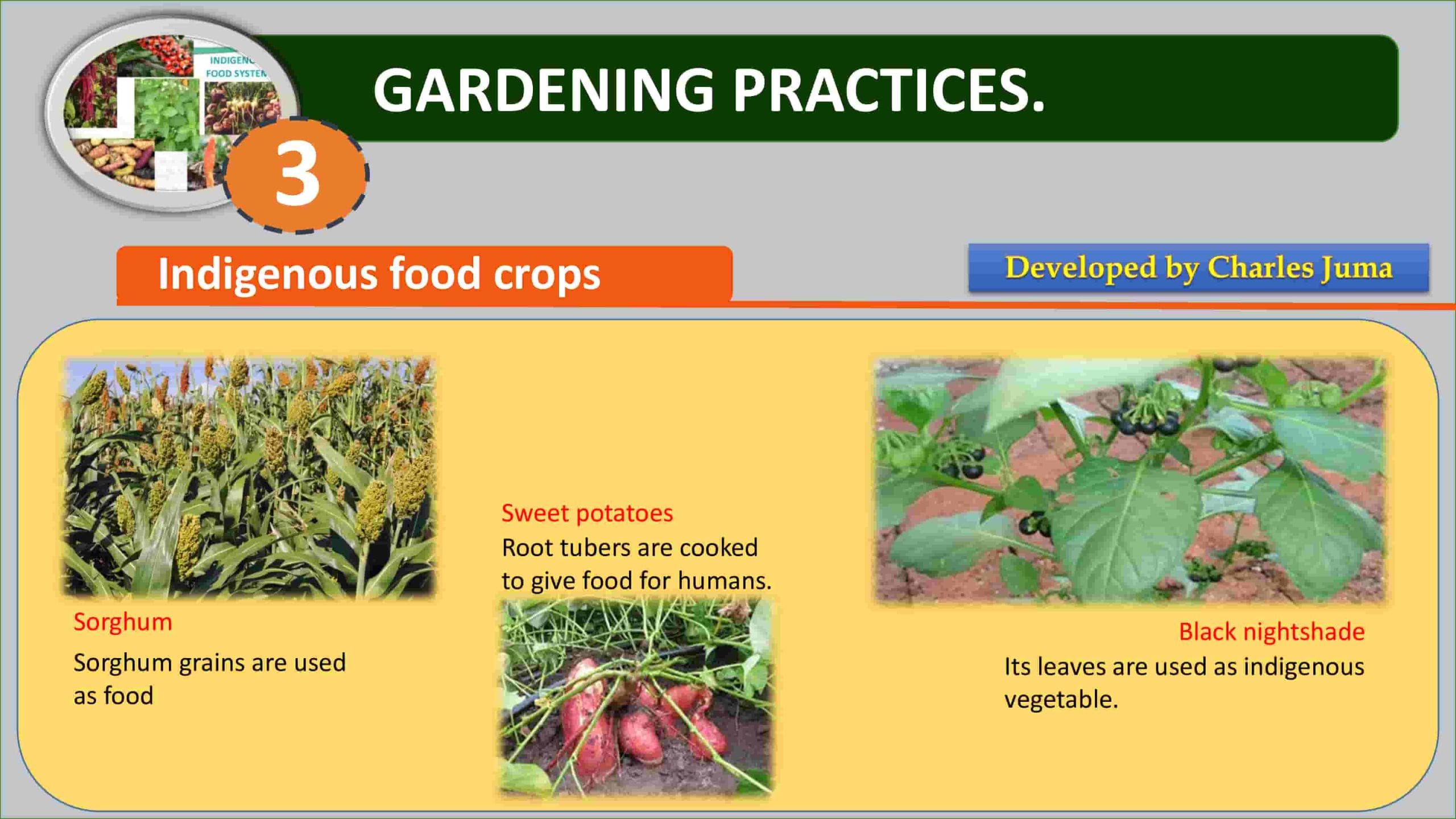 Grade 5 Agriculture Indigenous Food Crops Power Point Notes - Elimuplex