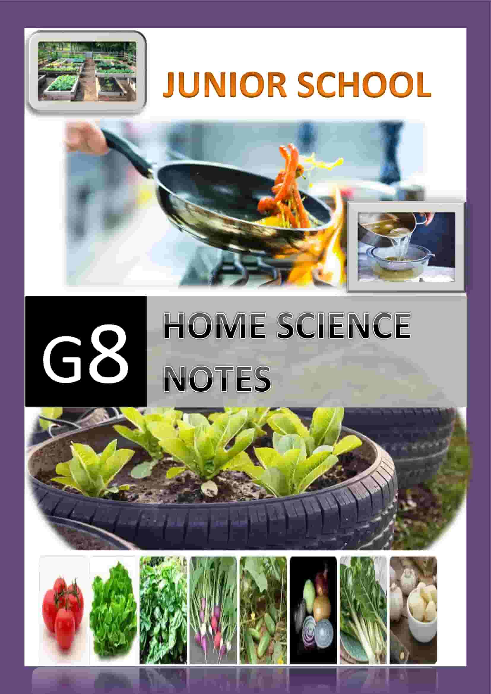 Grade 8 Home Science Notes Term 1 - Elimplex