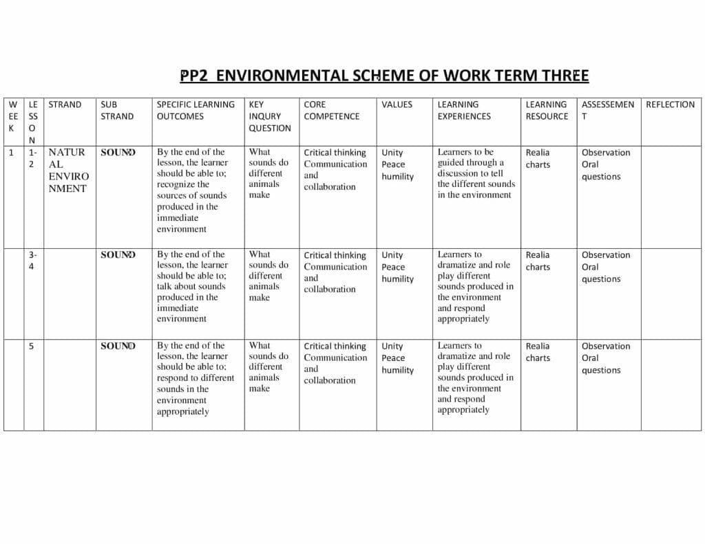 PP2 Environmental Scheme of Work Term 3 - Elimplex