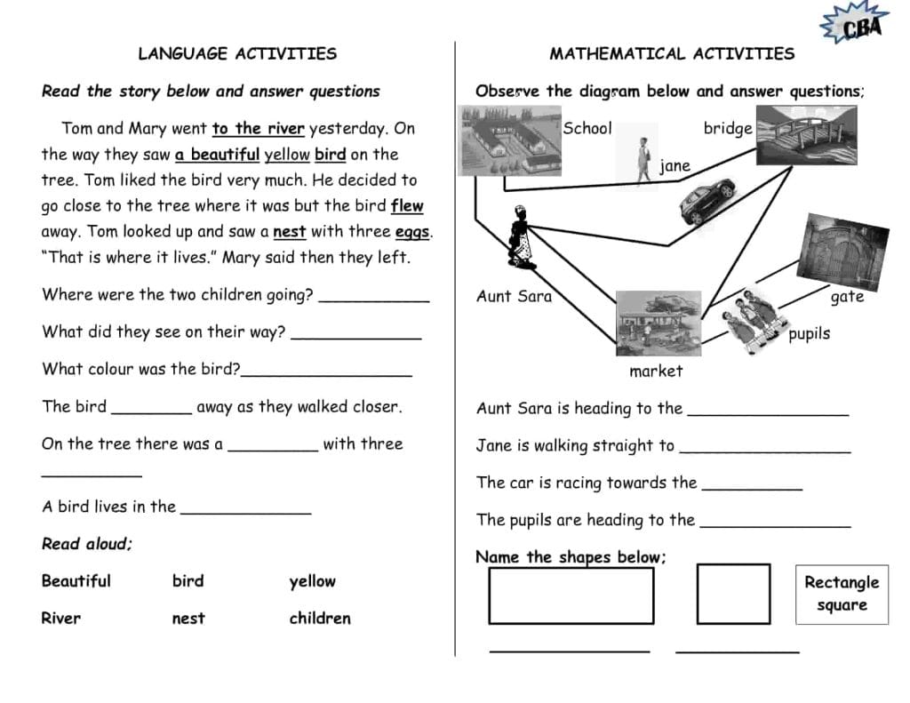 Grade 3 December 2024 Holiday Assignment Whole Set - Elimplex