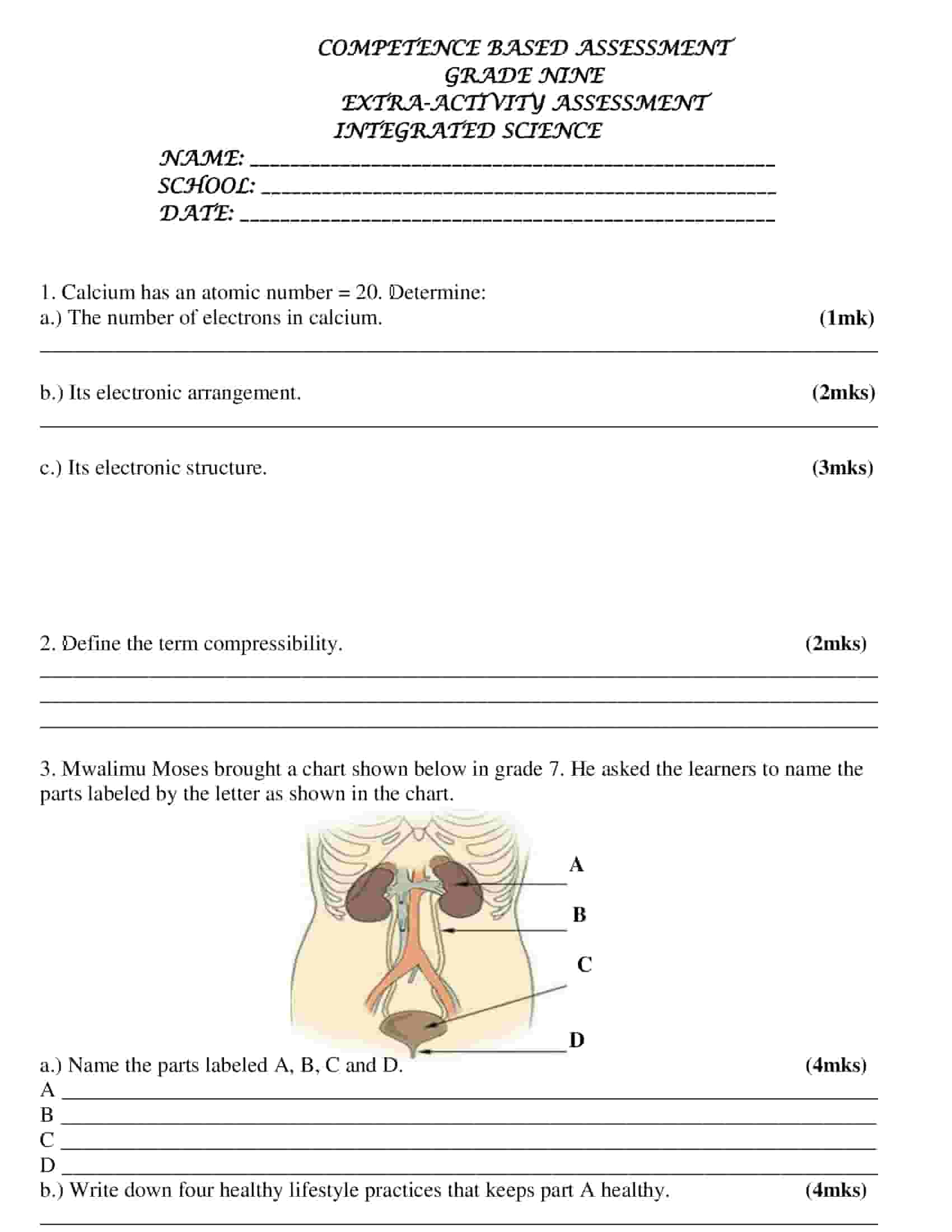 Grade 9 Extra-Activity Assessment Integrated Science - Elimplex